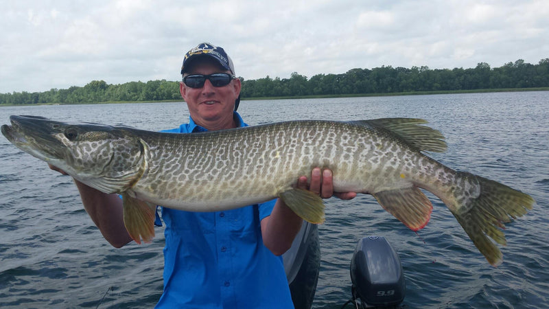 Tips for Musky Lure Gift Giving | Blue Ribbon Bait & Tackle